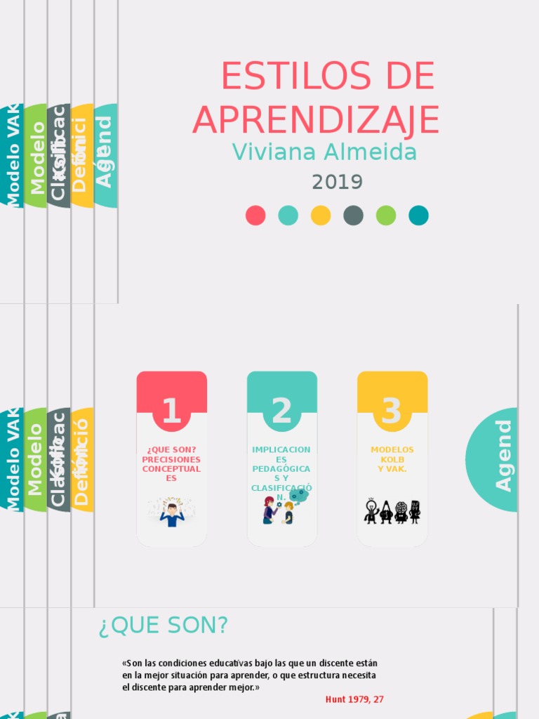 Estilos de Aprendizaje Viviana | PDF | Aprendiendo estilos | Evaluación neuropsicológica