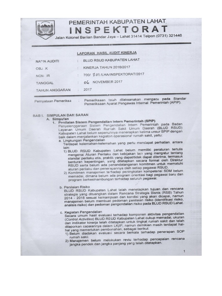 LHP Audit Kinerja RSUD Muara Enim | PDF