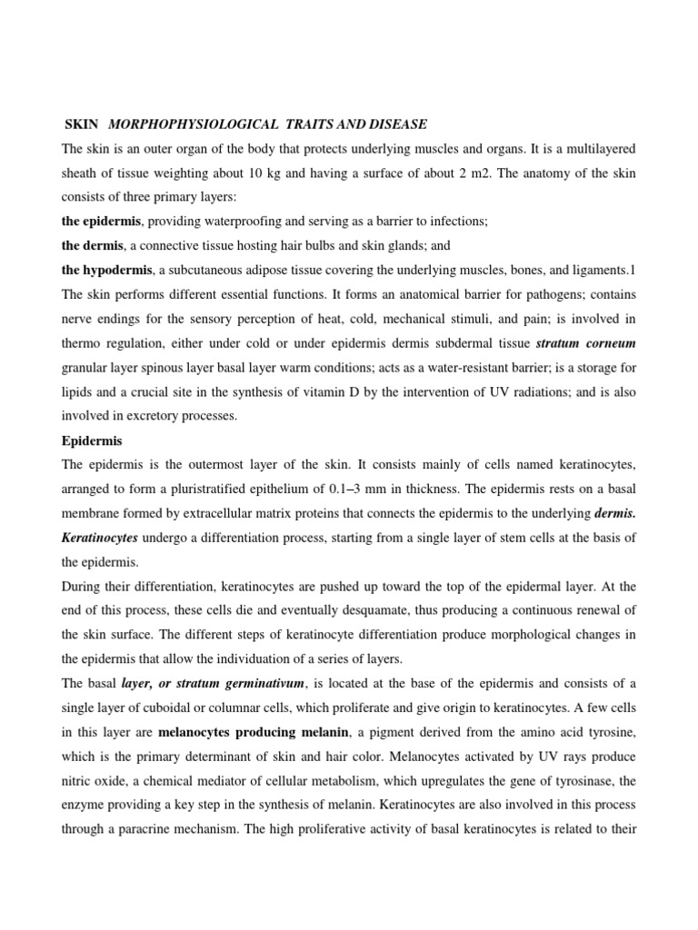 Keratinocytes Undergo A Differentiation Process, Starting From A Single ...