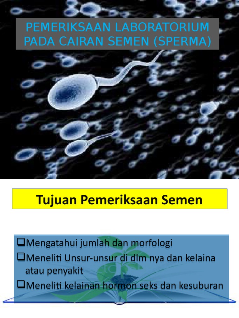 Pemeriksaan Analisis Cairan Sperma | PDF