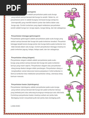 50+ Contoh Bunga Yang Melakukan Penyerbukan Tetangga yang Mantul ...