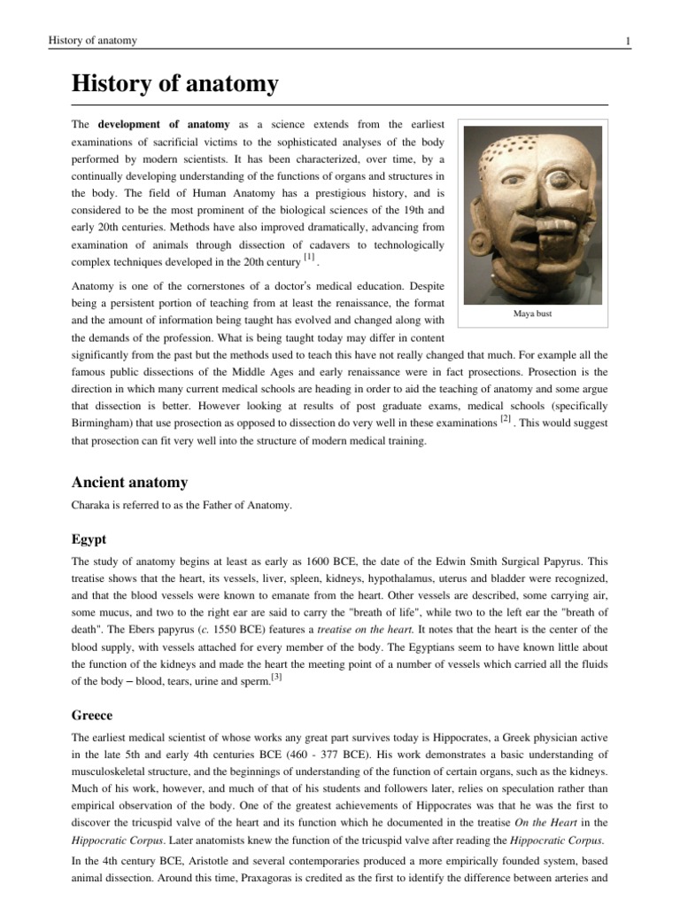 History of Anatomy | PDF | Anatomy | Medicine