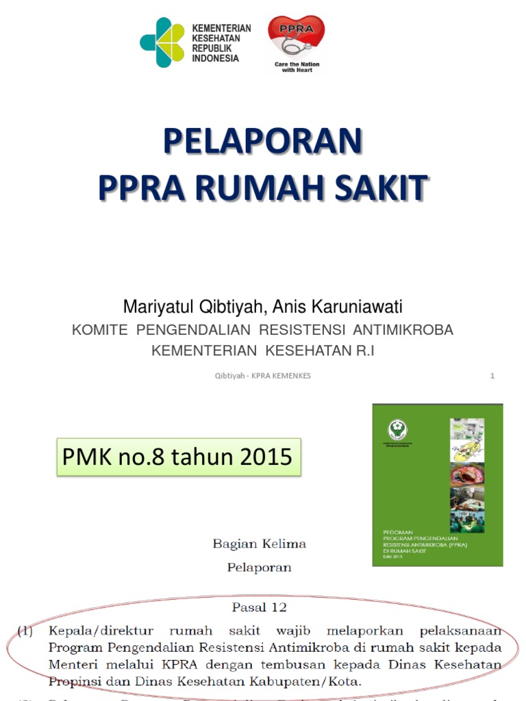 9.pelaporan PPRA RS Abcd | PDF