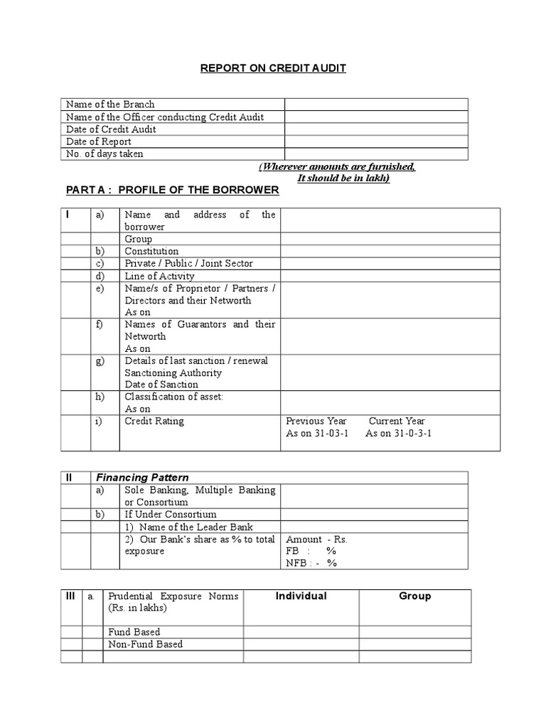Credit Audit Format | Download Free PDF | Credit | Finance & Money ...