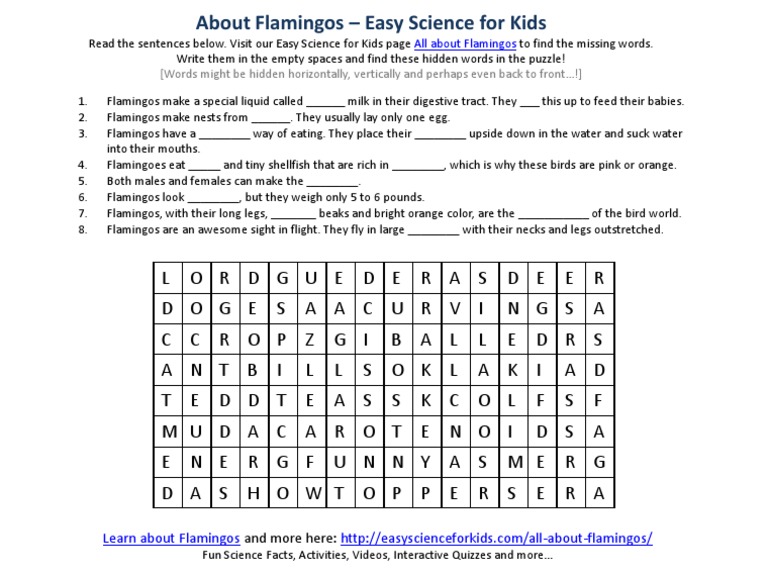Fun Facts About Flamingos for Kids | PDF