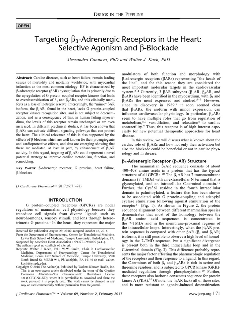 B3 Adrenergic Receptor | PDF | Biochemistry | Chemistry