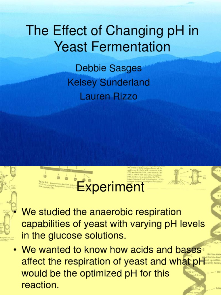 Lab 6 | PDF | Ph | Cellular Respiration