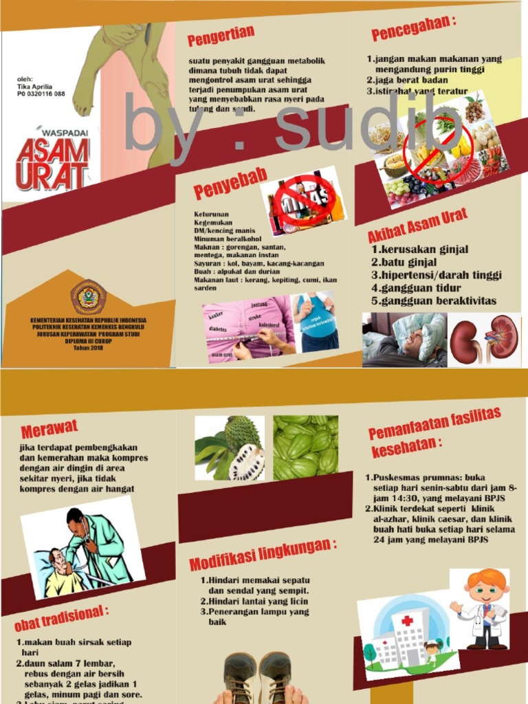 Leaflet Asam Urat | PDF