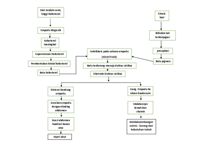 Pathway Kolestasis | PDF