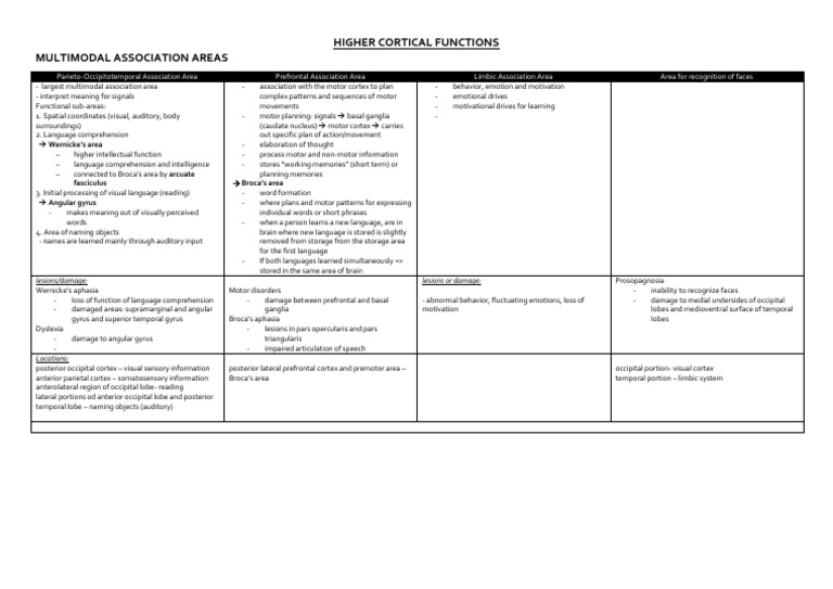 Higher Cortical Functions Multimodal Association Areas | PDF | Cerebral ...