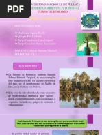 Sabana Húmeda Con Palmeras (Pampas Del Heath) | PDF | Deforestación ...