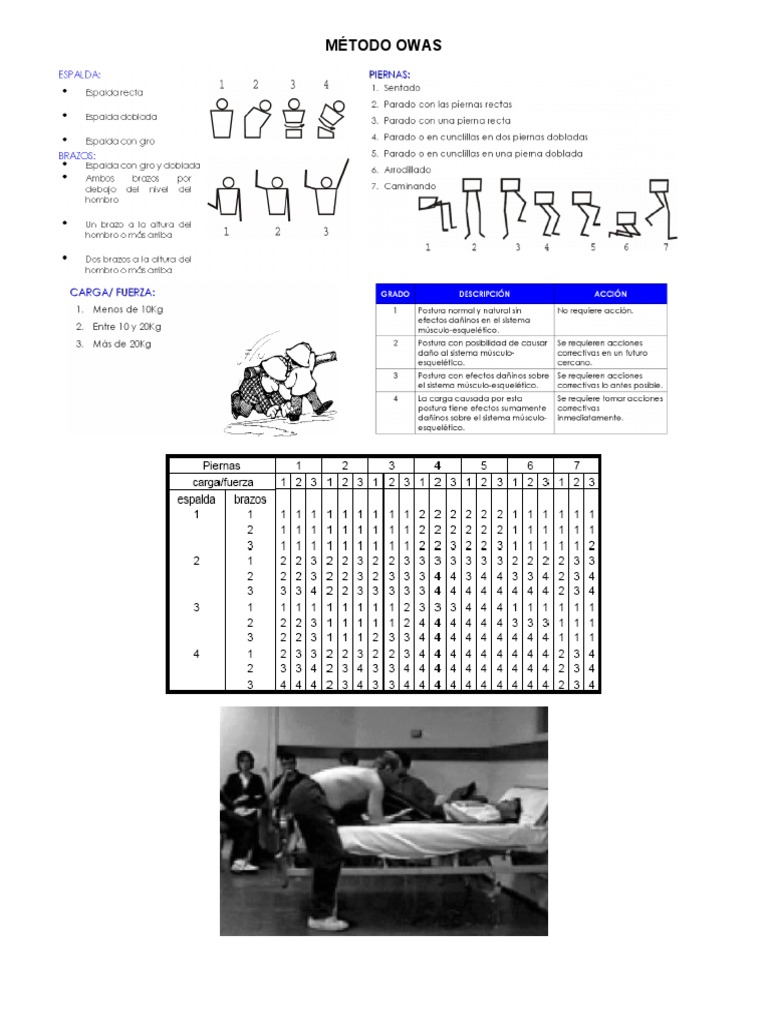 Formatos Owas Rula Reba Jsi | PDF