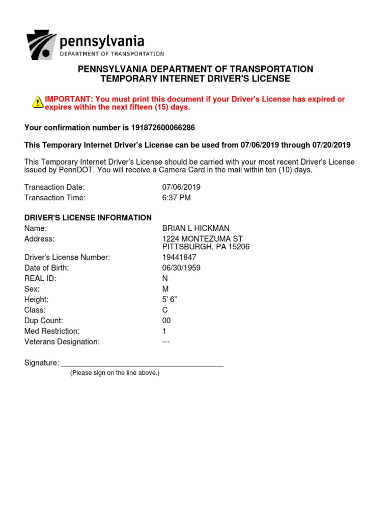 PA Temporary Driver's License Details | PDF