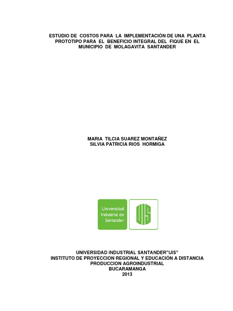 Planta de Fique | PDF | Agricultura | Mercado (economía)