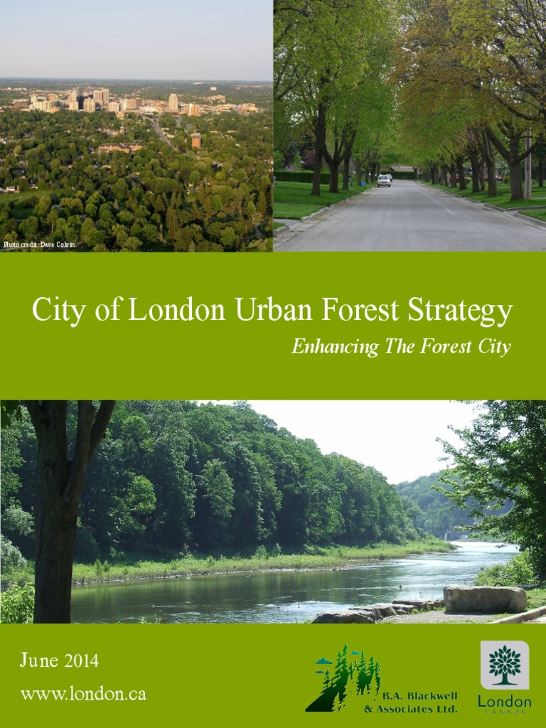 London Urban Forest Strategy Overview | PDF | Forests | Air Pollution