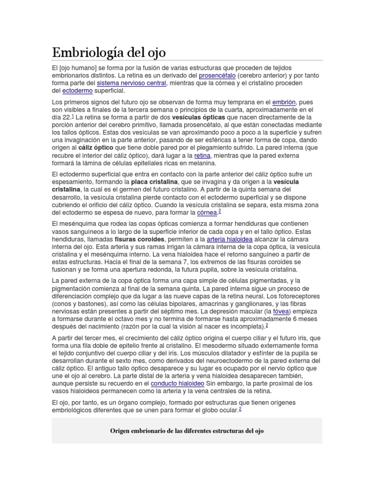 Embriología Del Ojo | PDF | Ojo humano | Retina