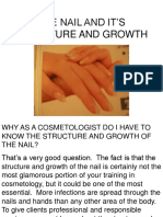 Worksheet Nails | PDF | Nail (Anatomy) | Integumentary System