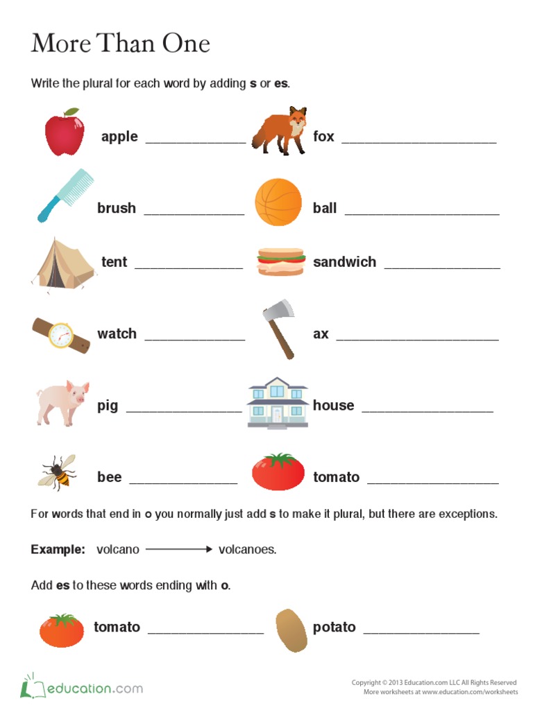 More Than One: Write The Plural For Each Word by Adding S or Es | PDF