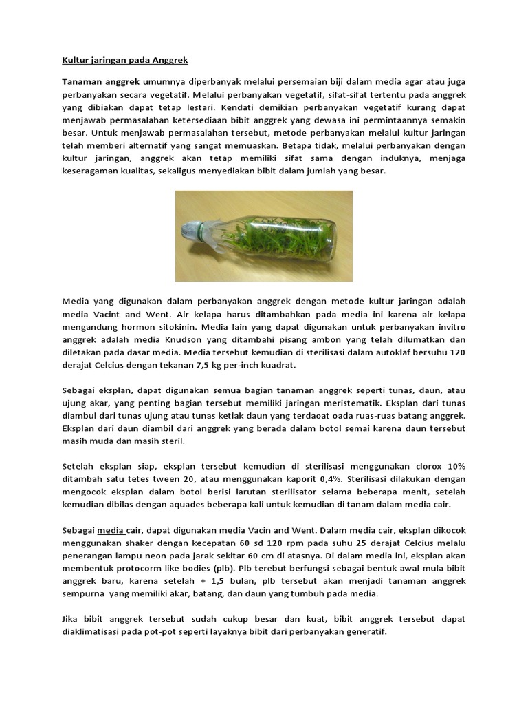 Kultur Jaringan Anggrek | PDF | Sains & Matematika