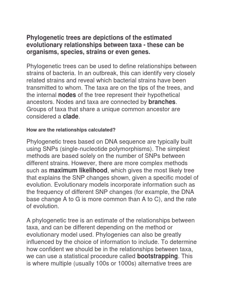 Phylogenetic Trees | PDF | Phylogenetic Tree | Single Nucleotide ...