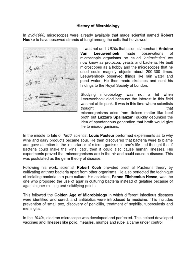 History of Microbiology | PDF | Microbiology | Microorganism