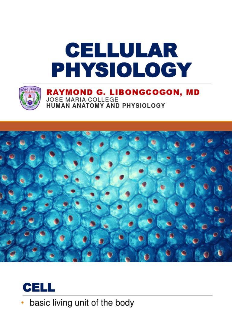 2.1. Cellular Physiology Organization Structure and Functions of The ...