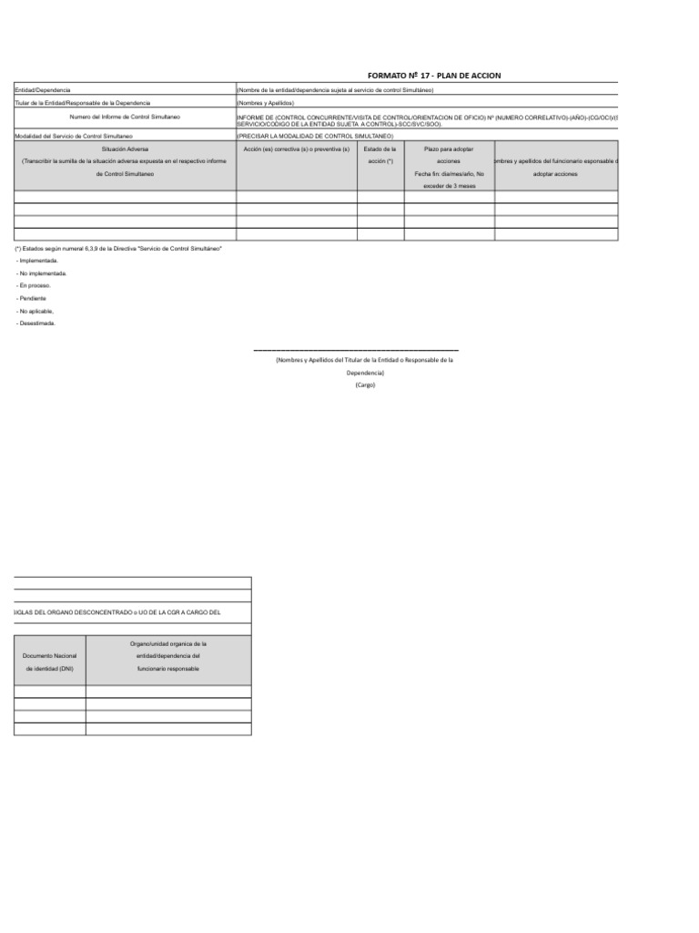 Formato #17 - Plan de Accion | PDF | Business
