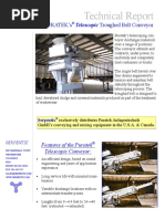 Molkky Game Rules | PDF