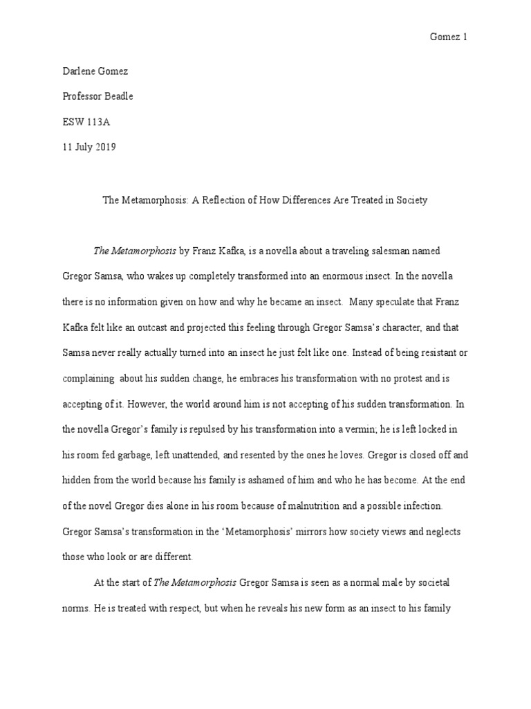 The Metamorphosis Final | PDF | The Metamorphosis | Equality Rights