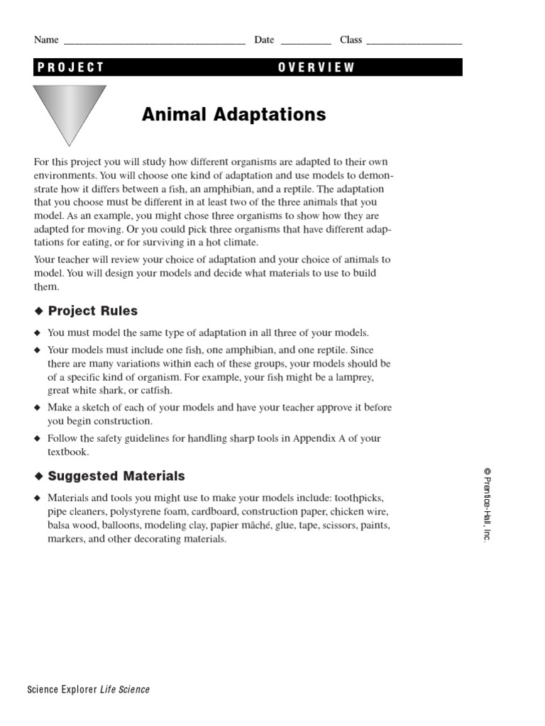 Animal Adaptations: Project | PDF | Nature