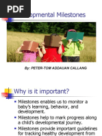 Bambang, Nueva Vizcaya Spot Map | PDF