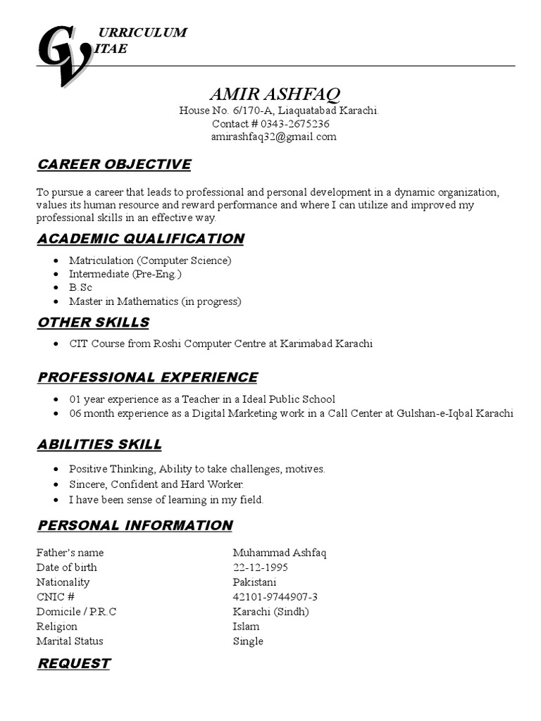 Amir Ashfaq's Professional Resume | PDF