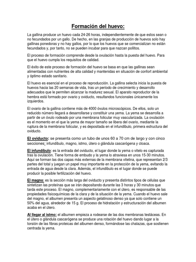 Formación Del Huevo | PDF | Huevo | Huevo como alimento