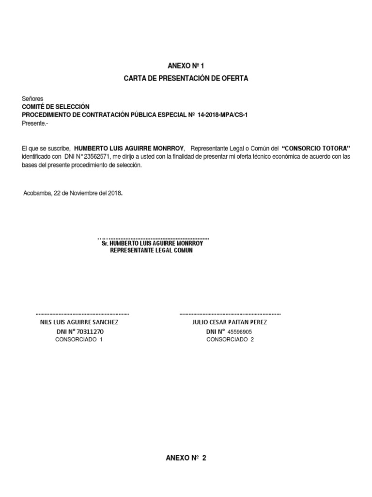 Documentos de Oferta Consorcio Totora | PDF | Gobierno