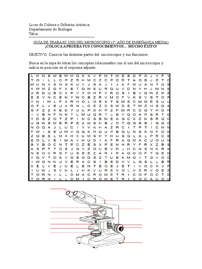 Sopa de letras: Partes del microscopio | PDF