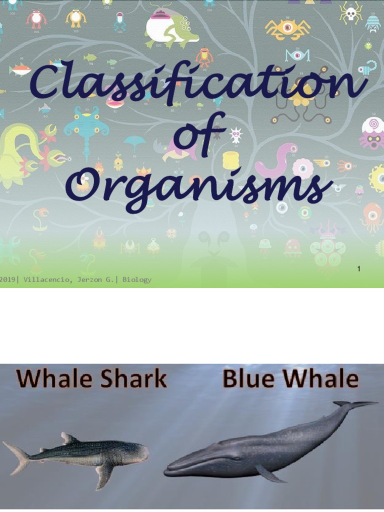 Lec5. Classification of Organisms | PDF | Clade | Taxonomy (Biology)