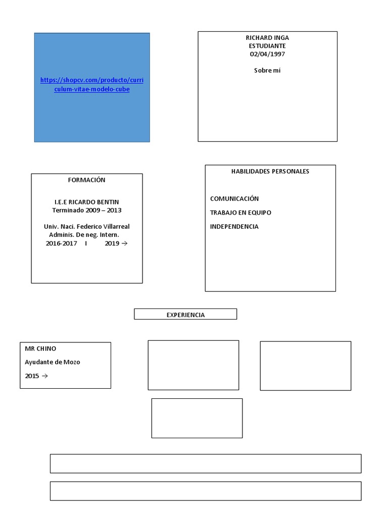 CV Richard | PDF