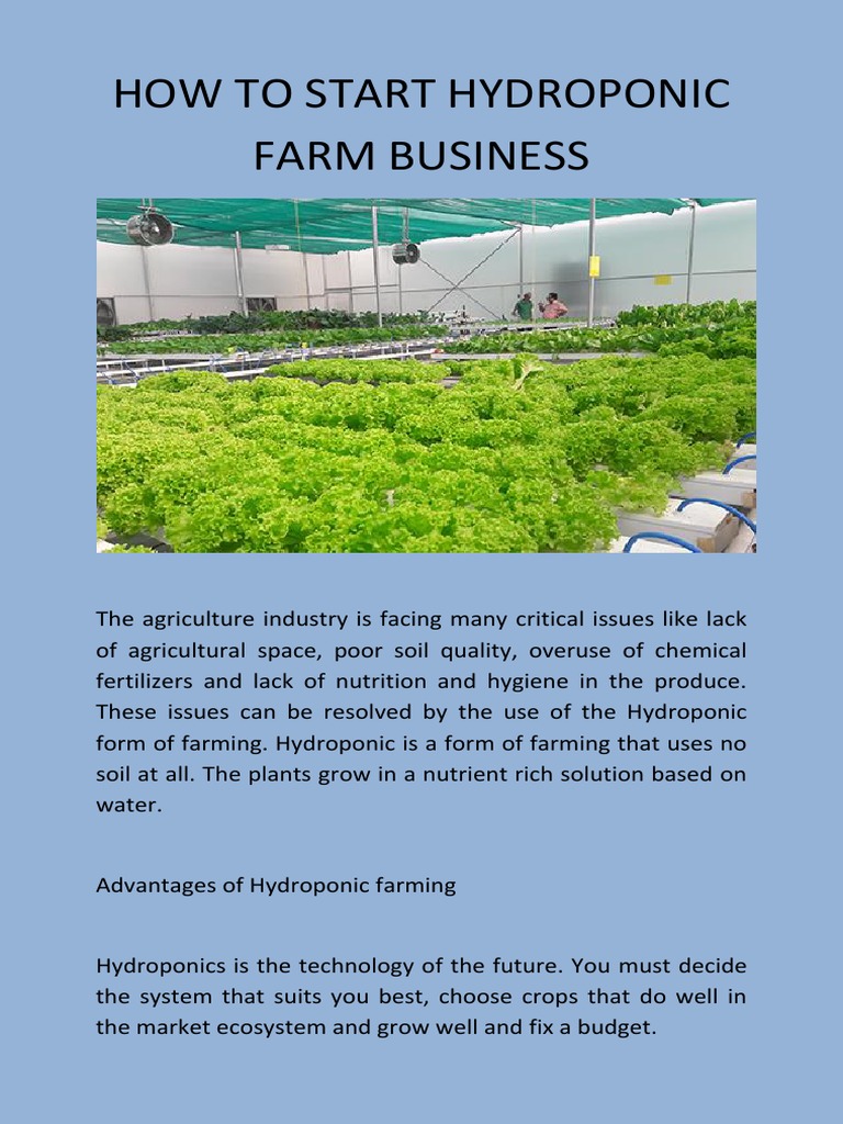 How To Start Hydroponic Farm Business | PDF | Hydroponics | Agriculture
