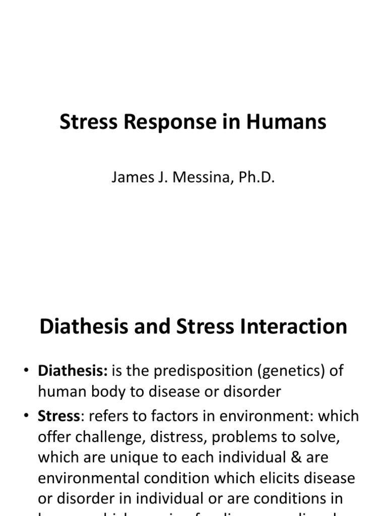 Stress Response in Humans | PDF | Adrenocorticotropic Hormone | Stress ...