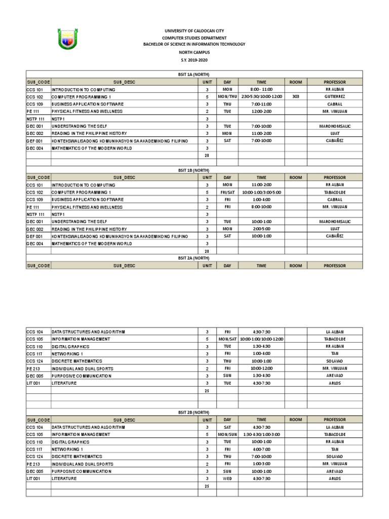 Bsit Pdf Computing Information Technology
