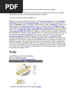 Dermatology Flap CPT Codes Guide | PDF | Teaching Methods & Materials ...