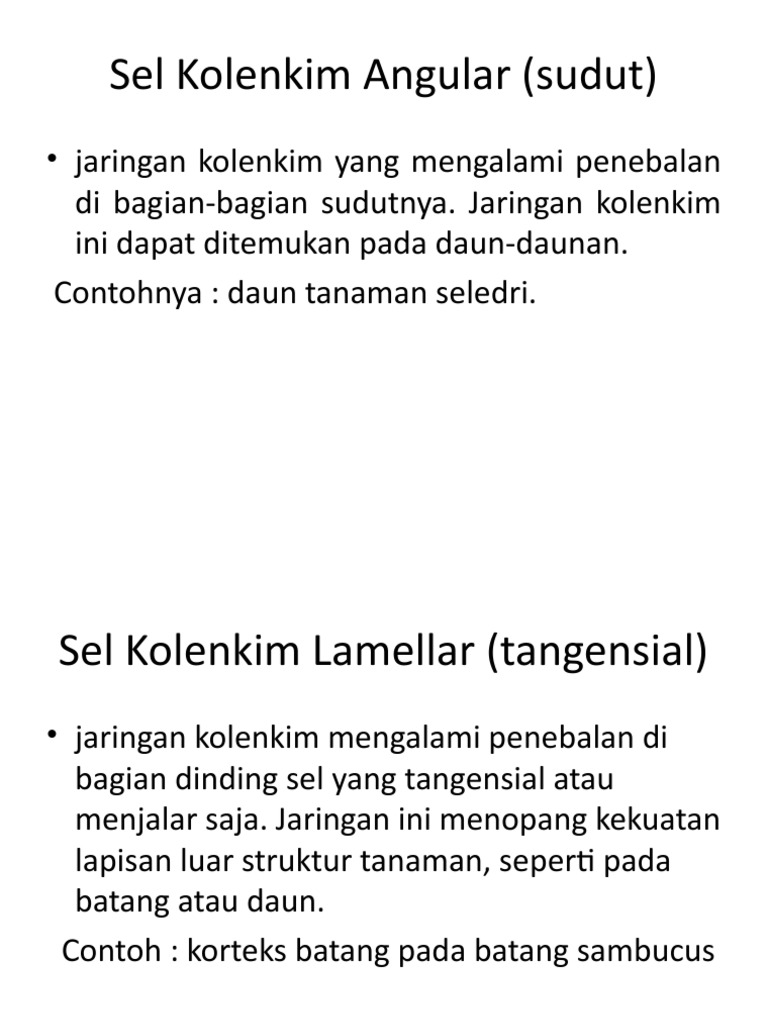 Sel Kolenkim Angular (Sudut) | PDF