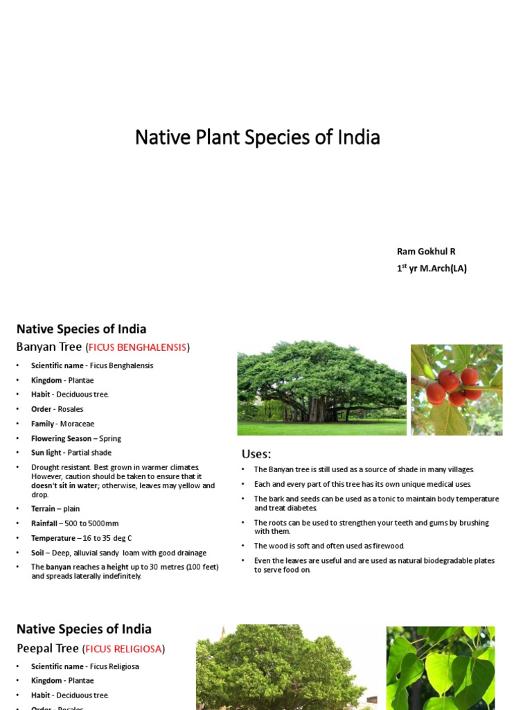 Native Plant Species of India: Descriptions and Uses of Prominent Trees ...