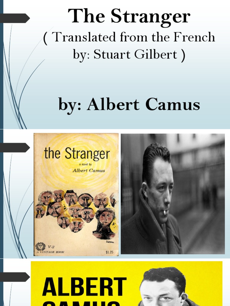 The Stranger - Report | PDF