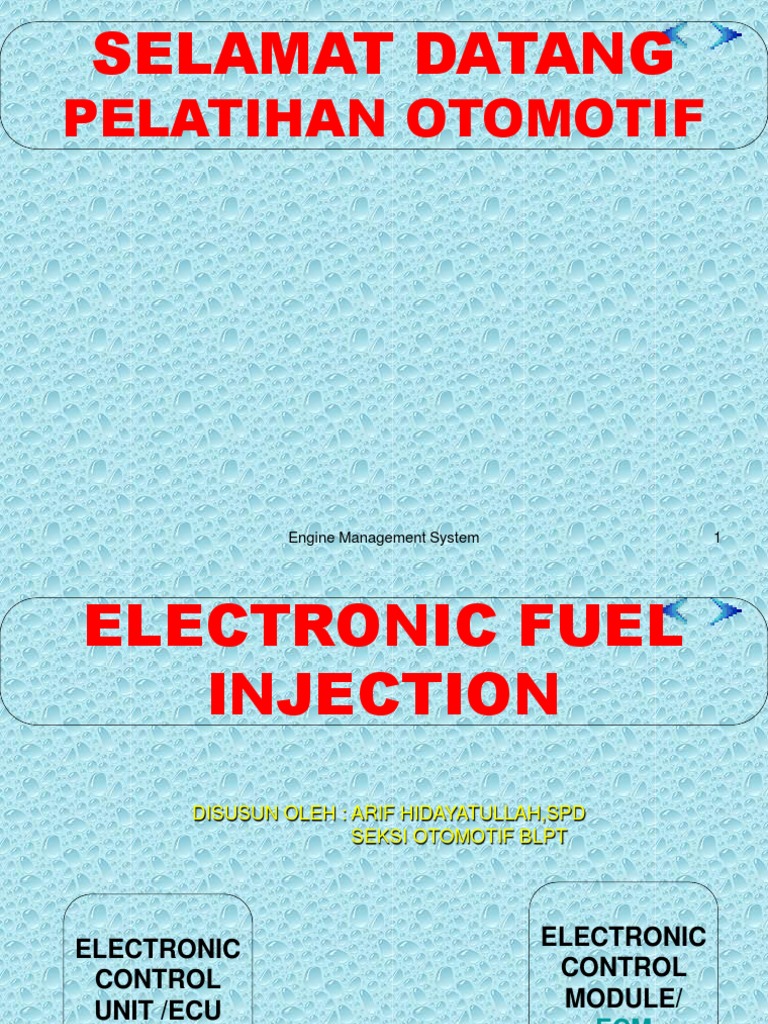 Presentasi Efi | PDF