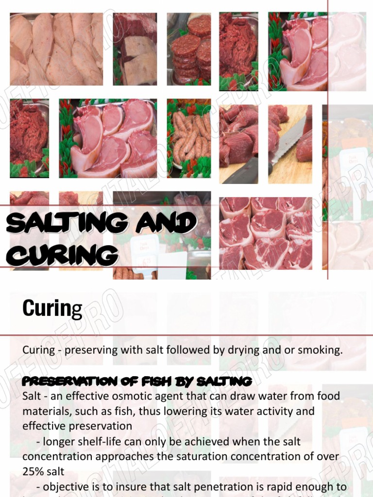 Salting and Curing | PDF | Curing (Food Preservation) | Seawater