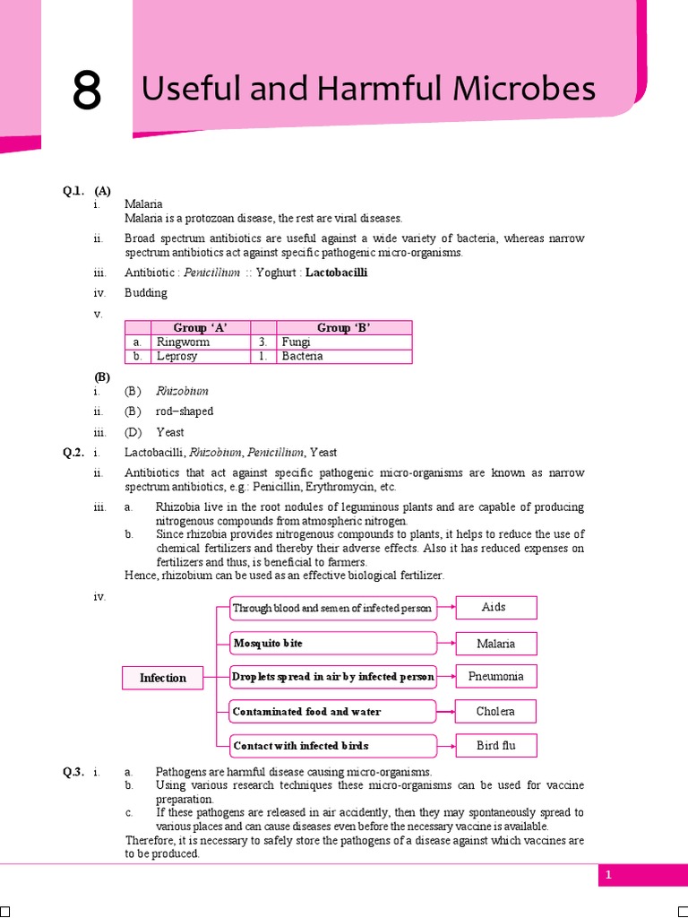 STD 9th Science and Technology Chapter Assessment 8 Useful and Harmful ...