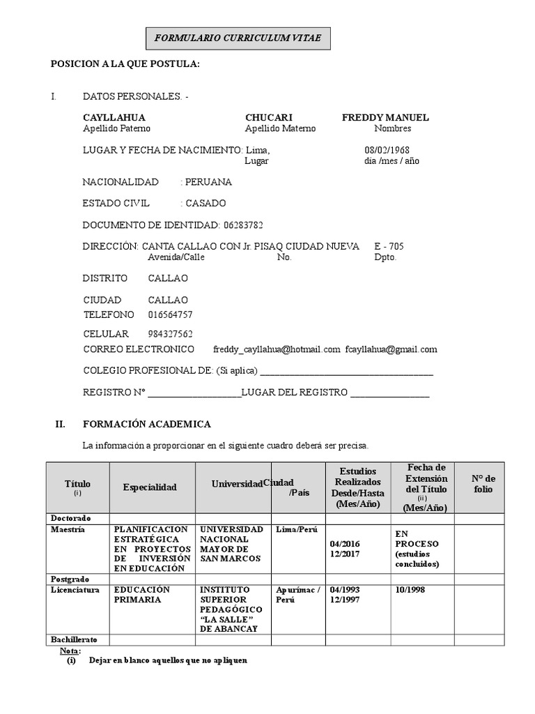 Formato de Llenado de CV Freddy Manuel Cayllahua Chucari | PDF ...