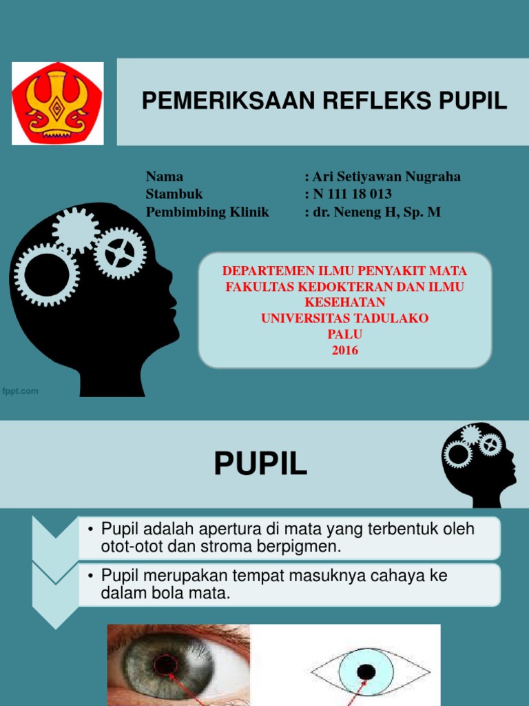 Pemeriksaan Refleks Pupil Mata | PDF