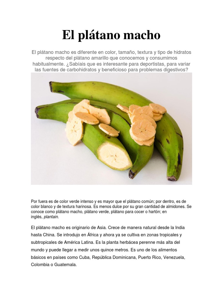 Beneficios y propiedades del plátano macho | PDF | Plátano | Fibra ...